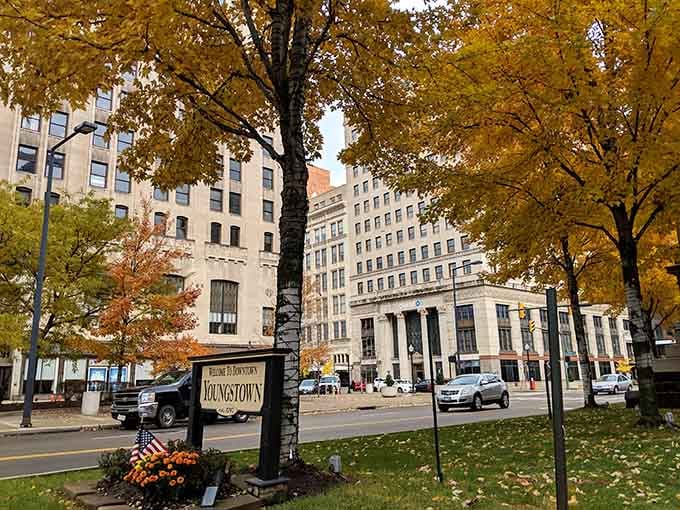 Autumn transforms Youngstown into a postcard, and you won't need a second mortgage to enjoy the view daily.