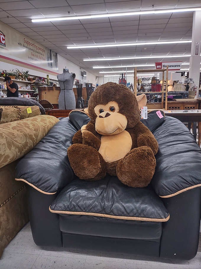 This oversized monkey has claimed the best seat in the house, living his best thrift store life.