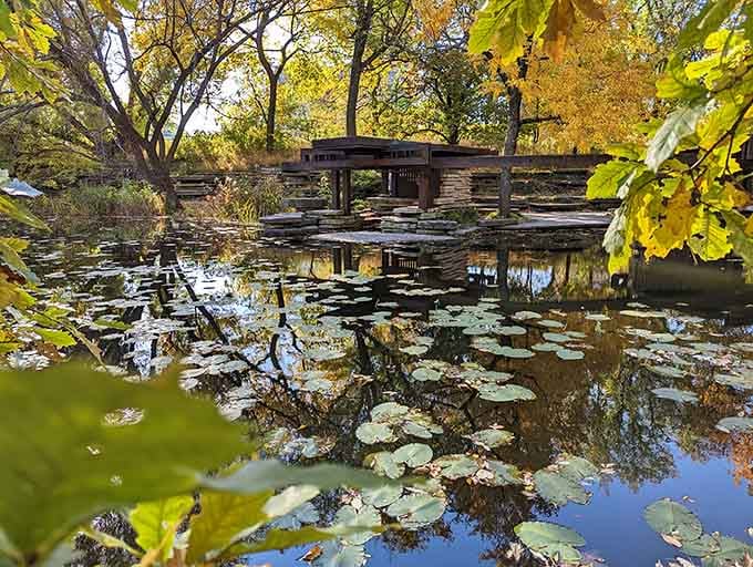Lily pads float serenely across the pond's surface while a Prairie-style bridge spans the water in perfect architectural harmony.