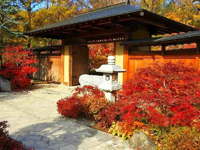 Fiery autumn maples frame the traditional tea house creating a scene straight from a Japanese watercolor painting.