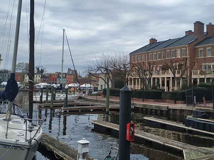 Sailboats rest peacefully at the marina while elegant townhomes watch over them like protective grandparents at Sunday dinner.