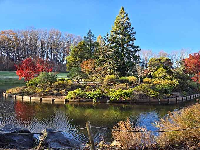 Fall colors explode around this waterside garden like someone spilled a painter's entire palette into one spot.