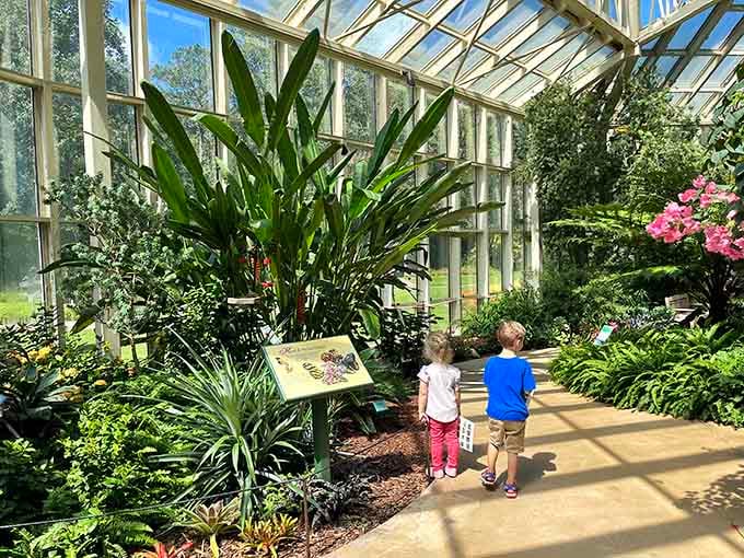 Inside the glass conservatory, tropical plants create a jungle paradise where young explorers discover nature's wonders up close.