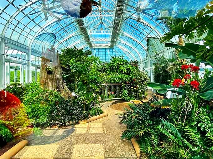 Step into this glass conservatory where tropical plants thrive year-round, creating an instant vacation from winter's chill.