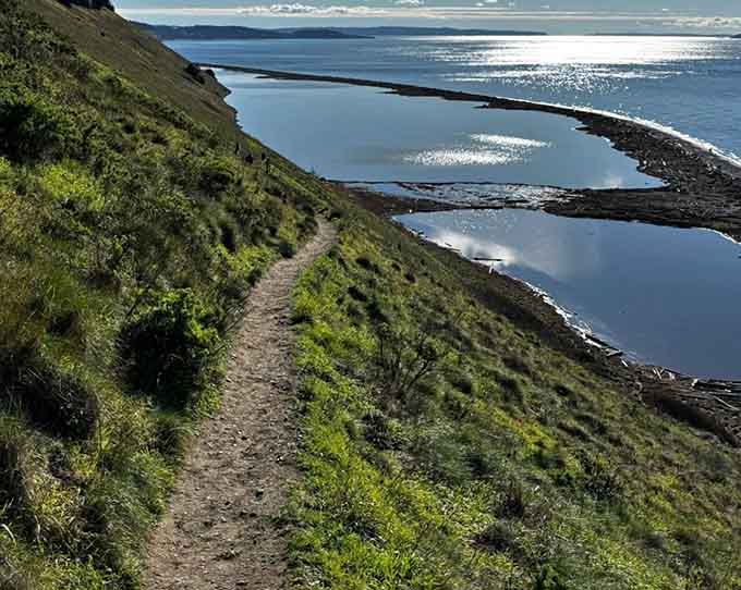 The coastal trail hugs dramatic bluffs where Puget Sound sparkles below like scattered diamonds on blue velvet.