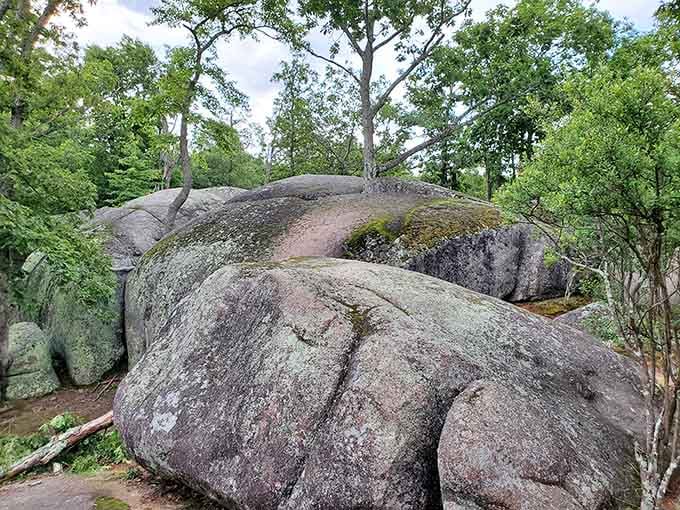 These ancient granite giants really do look like a parade of elephants frozen in stone for 1.5 billion years.