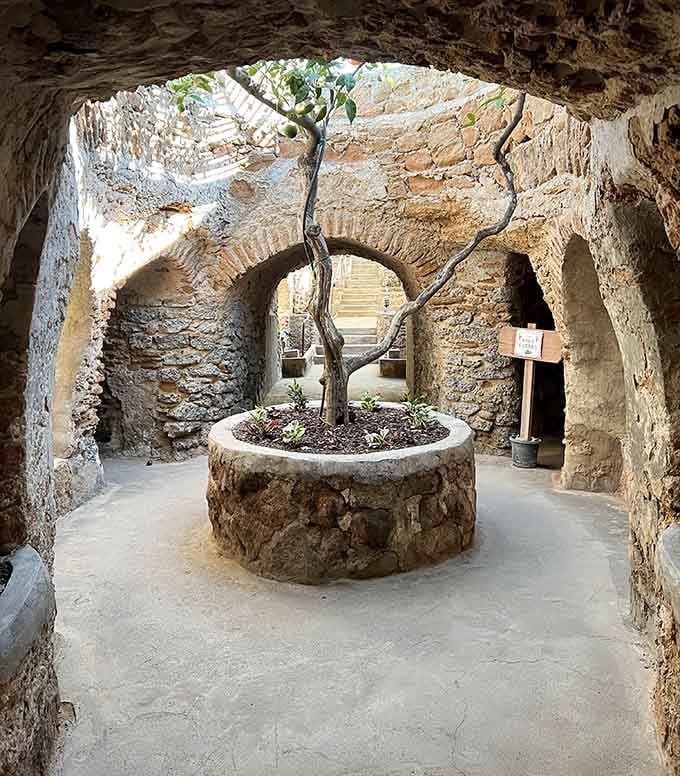Underground arches frame a tree reaching toward natural skylights in this hand-carved subterranean wonder garden.