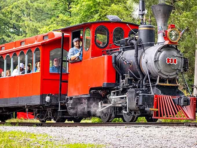 All aboard for a journey where the engineer's smile is as genuine as the coal-fired steam billowing overhead.