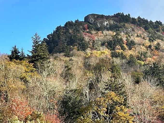 Autumn paints Grandfather Mountain in brilliant oranges and golds, creating nature's own masterpiece that changes with every season.