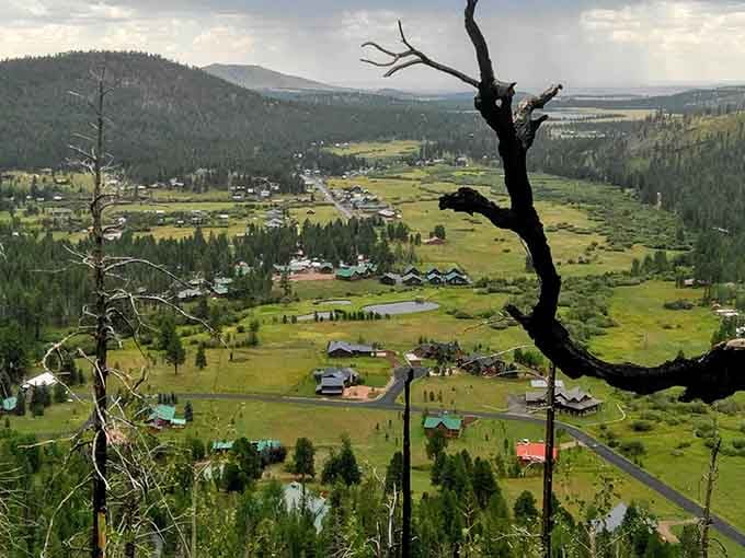 Green meadows and pine forests create a mountain paradise that feels more like Switzerland than the desert state.