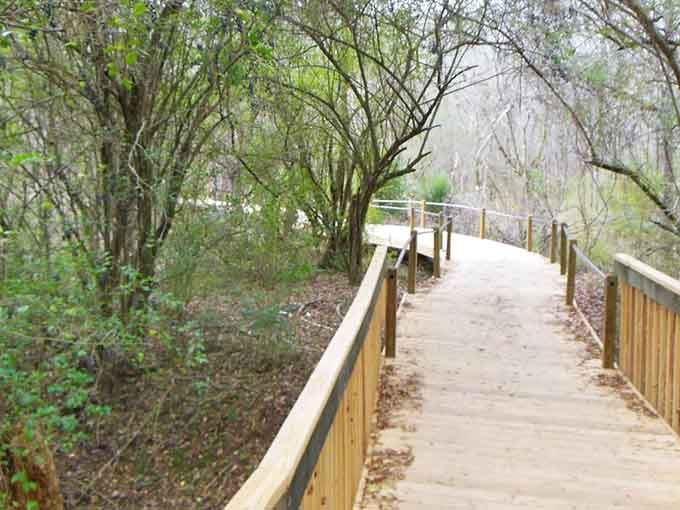 The boardwalk curves gently through spring greenery, inviting you to explore what lies around the next bend.