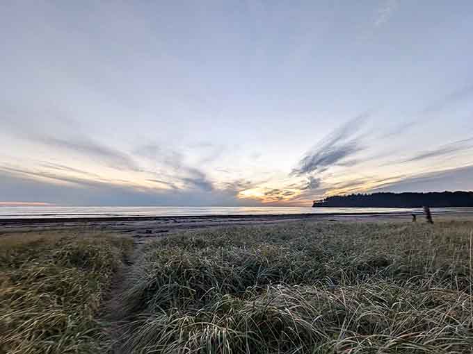 Wild grasses frame this endless beach where sky meets water in a seamless blend of pastels.