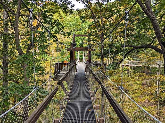 Walking among the treetops on this suspended bridge puts you eye-level with birds and squirrels in their natural habitat.