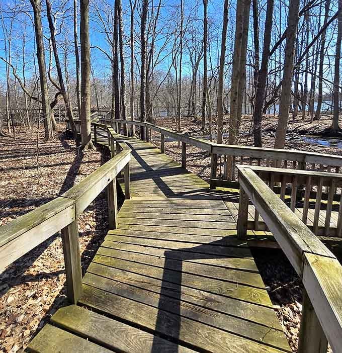 Wooden boardwalks wind through bare winter woods, inviting contemplative walks where crunching leaves provide the soundtrack.
