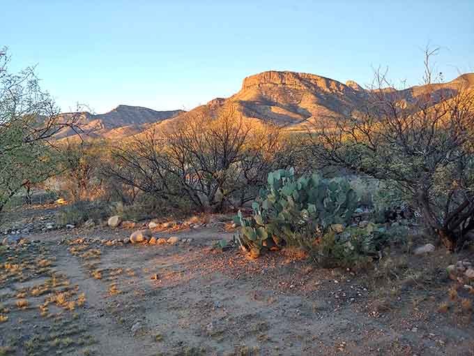 Golden hour light bathes the desert landscape around Kartchner Caverns, where amazing formations wait hidden in the cool caves below ground.