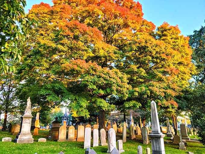 When autumn paints the landscape in orange and gold, even centuries-old monuments seem to glow with renewed life.