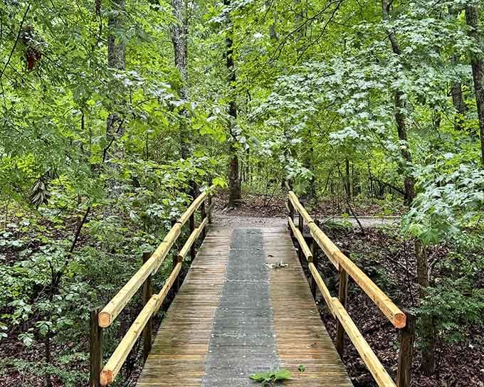 This welcoming footbridge stretches into lush greenery, practically begging you to cross and explore what lies ahead.