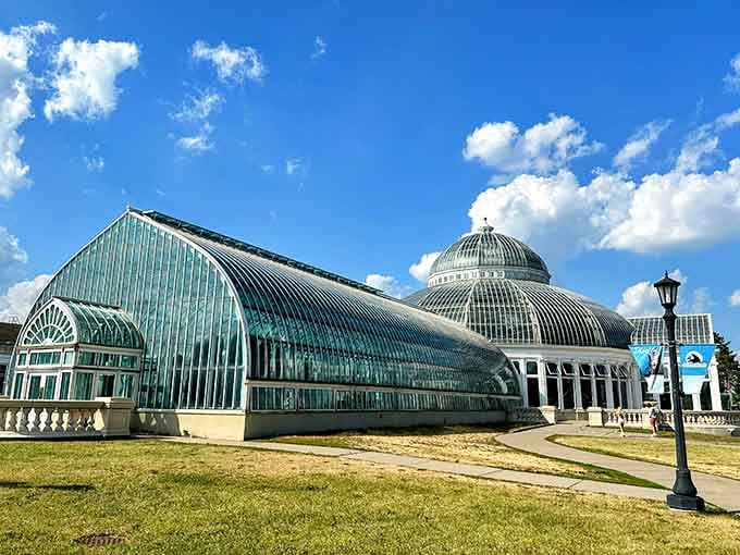 The glass conservatory dome gleams like a crystal palace, promising tropical escapes without leaving Minnesota's friendly borders.
