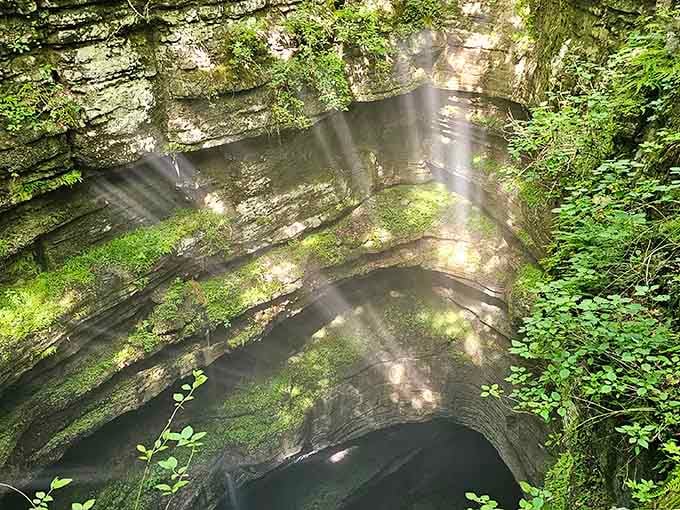 Sunlight beams down into this massive pit like a spotlight from heaven, illuminating ferns clinging to the vertical walls.