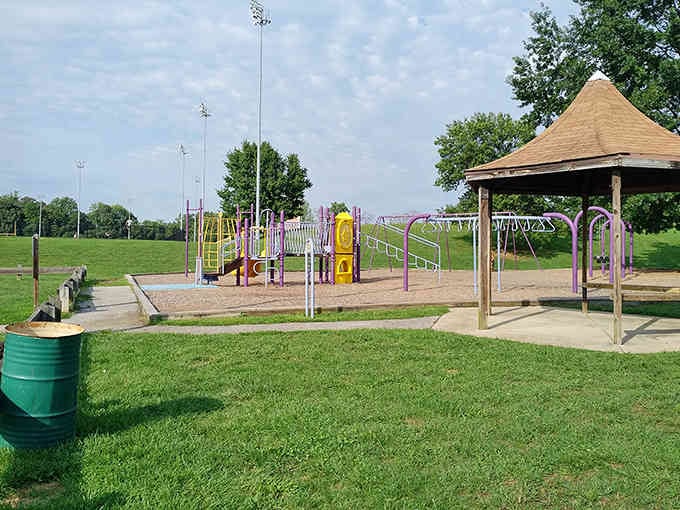 Green fields and playground equipment show Odenton's family-friendly side, where kids and grandkids can run around freely together.