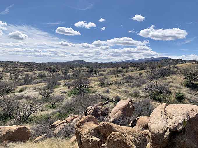 Rolling grasslands dotted with oak trees stretch beneath big sky, proving Arizona has more faces than you imagined.