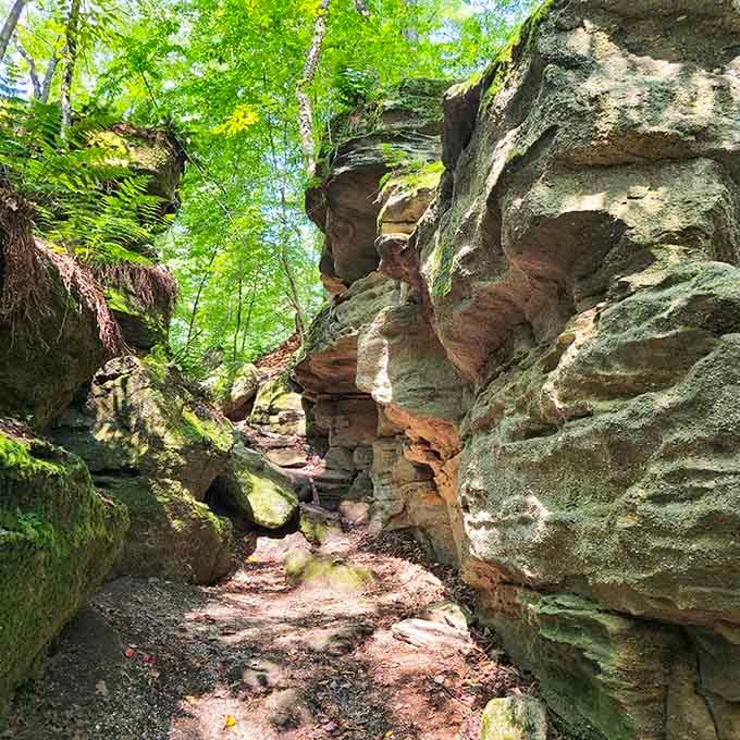 Moss-covered rocks tower overhead, creating narrow passages that feel like nature's own secret hallway system for giants.