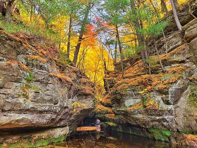 Fall transforms the gorge into a painter's palette, with golden leaves scattered across ancient stone like confetti.