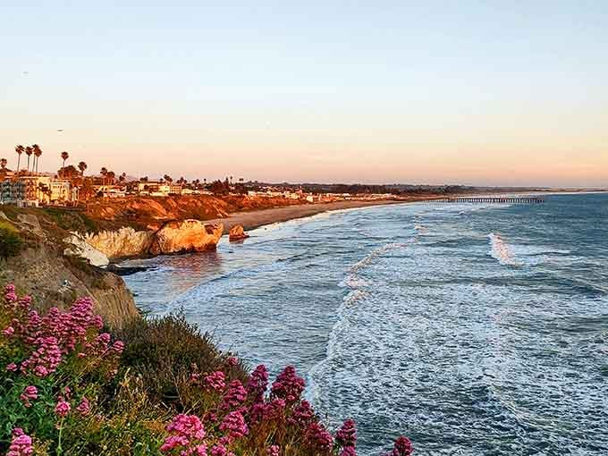 Golden hour paints these coastal cliffs in warm hues while purple wildflowers add their own splash of color.