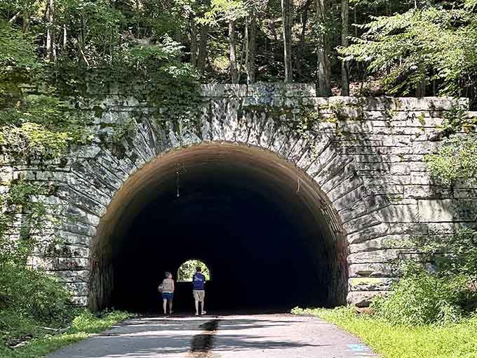This mysterious tunnel entrance beckons explorers into Appalachian folklore and mountain whispers within.