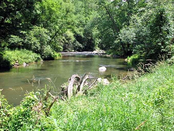 The calm water mirrors surrounding trees, creating a double feature that costs nothing but your time.