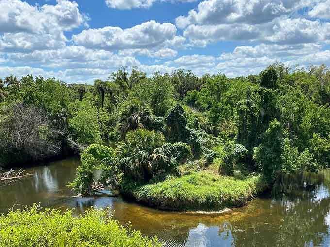 Wetlands spread wide under dramatic clouds, where birds gather like regulars at their favorite neighborhood watering hole.