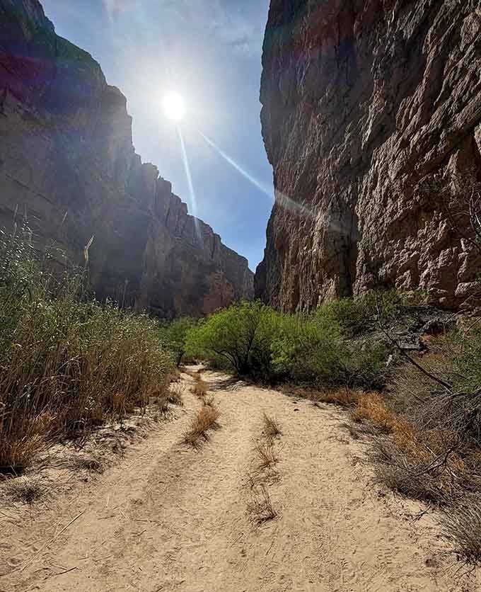 Towering canyon walls frame the sandy path ahead, making you feel wonderfully small in the best possible way imaginable.
