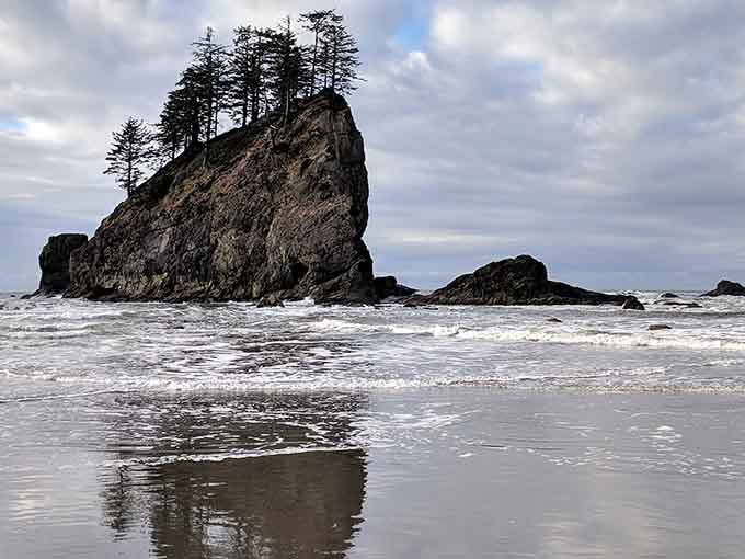 Tree-topped sea stacks stand defiant against Pacific waves, creating silhouettes that belong on postcards everywhere.