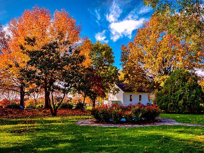 Autumn's grand finale: where fiery maples frame a cozy cottage in nature's most spectacular curtain call.