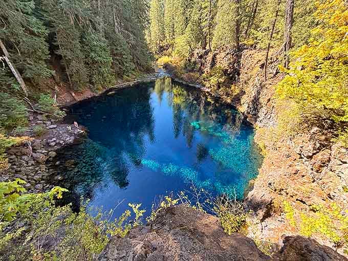 That impossibly blue pool looks like someone dropped a giant sapphire into the forest floor and forgot about it.