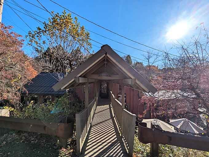 This charming wooden bridge leads you across to literary heaven, where books and waterfalls meet in perfect harmony.