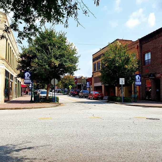 Tree canopies shading the entire street make summer strolls feel like walking through nature's own air-conditioned corridor.