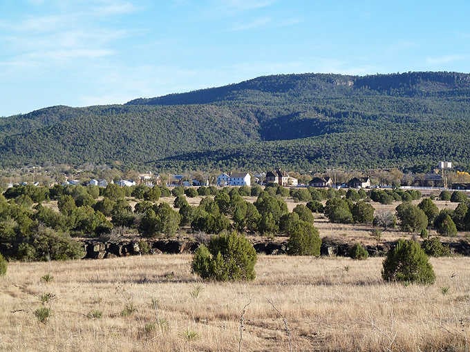 Grasslands meet pine forests under mountain shadows, creating the kind of view that makes you want to stay forever.