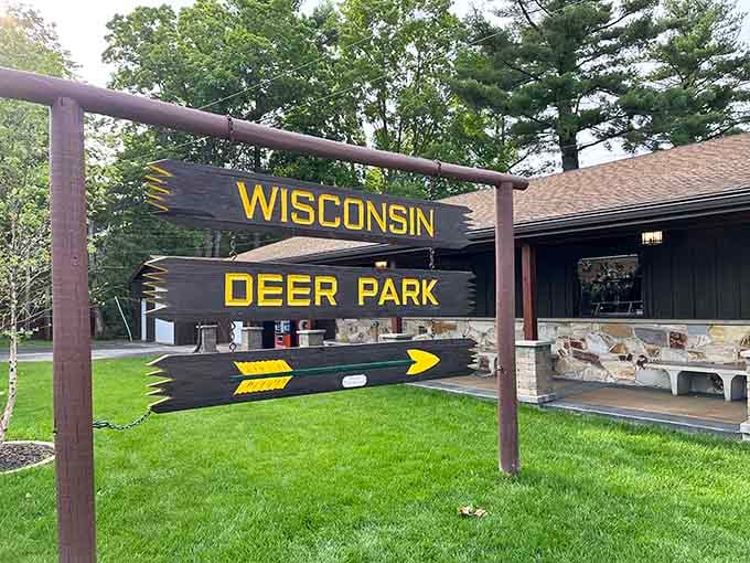 That cheerful wooden sign promises encounters with gentle creatures who've been greeting visitors for generations of family memories.