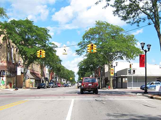 Mature trees line both sides creating a green tunnel effect that makes every drive feel like a scenic route.