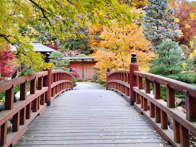 The wooden bridge leads your eye through layers of fall color toward tranquil structures beyond.