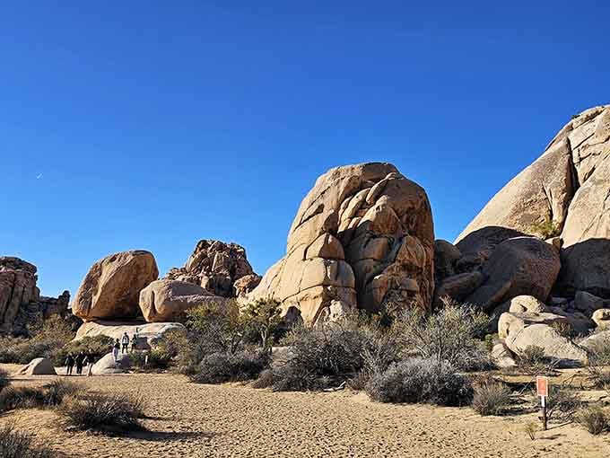 Massive boulders stacked like giant's building blocks create shadows and shelter in this remarkable desert landscape.