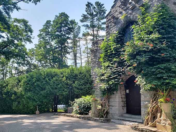 Sunlight filters through tall trees onto weathered stone walls, where planters add unexpected warmth to ancient castle ruins.