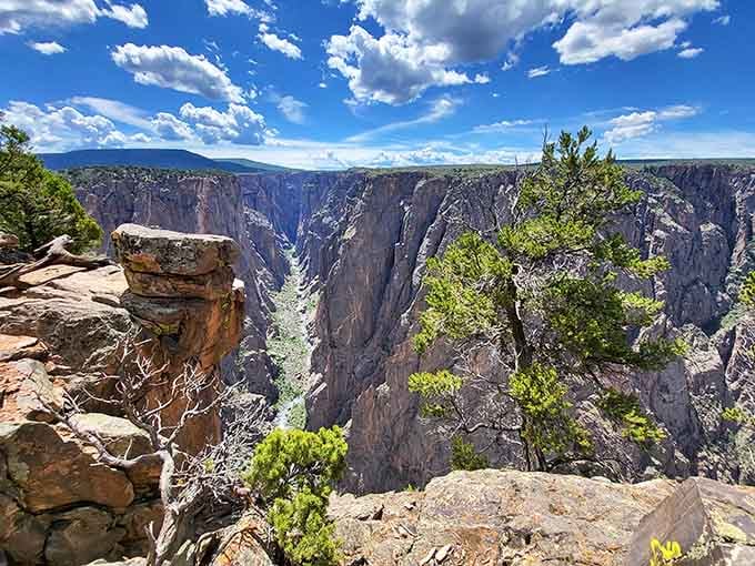The sheer drop into darkness makes your heart skip—this canyon doesn't mess around with its drama.