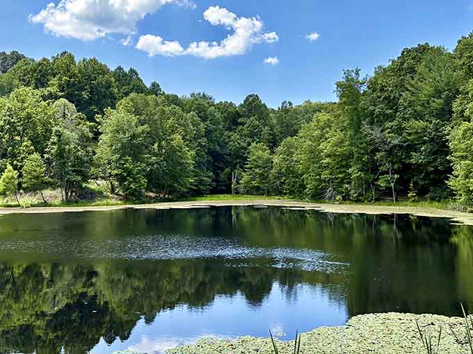 Perfect reflections double the beauty of this tranquil lake where clouds seem to float both above and below the crystal-clear water surface.