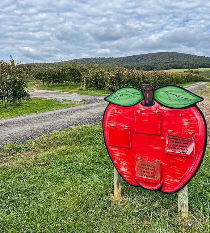 That cheerful apple marker points the way to orchard adventures, where mountains frame the horizon and fresh fruit awaits your basket.