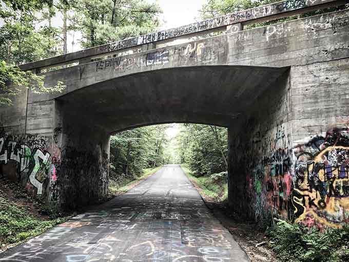 Graffiti-covered concrete meets dappled sunlight in this eerie passage that's equal parts urban art and spooky folklore.