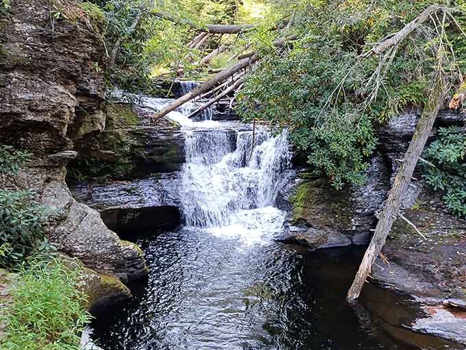 Multiple tiers of waterfalls create a staircase of rushing water through moss-covered rocks and fallen timber.