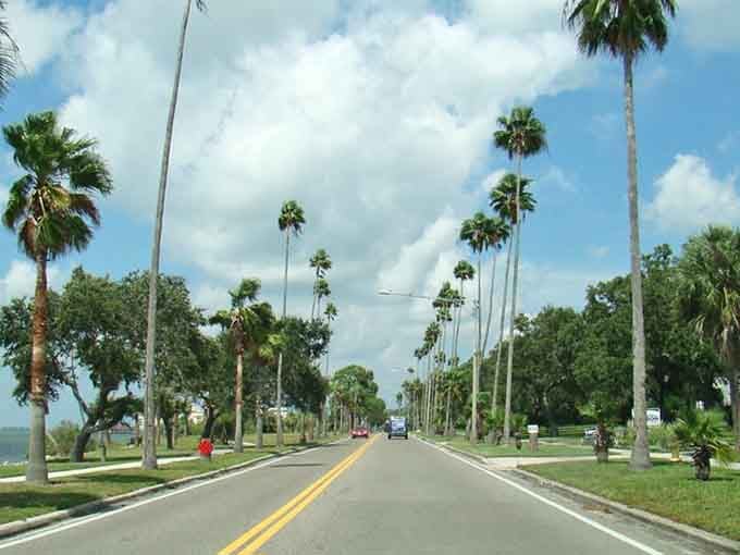 Palm trees stand at attention like natural sentinels guarding the entrance to a town that values its tropical heritage.
