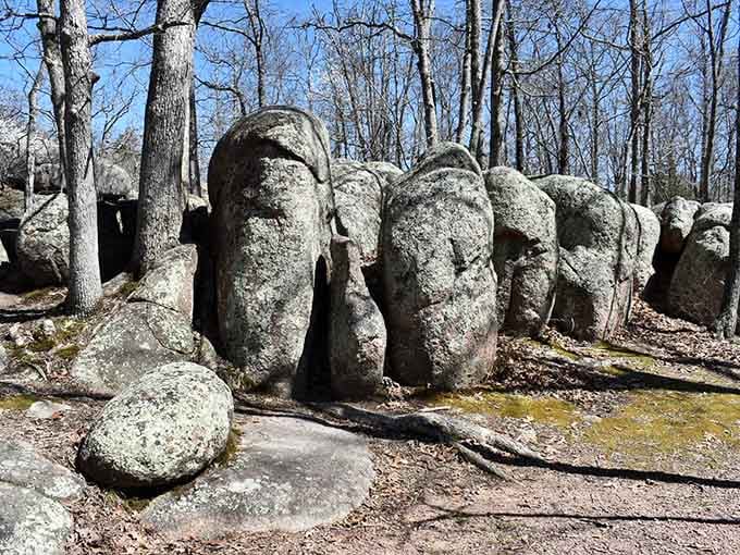 Weathered boulders line up like nature's own sculpture garden, smooth and rounded from millennia of patient erosion.